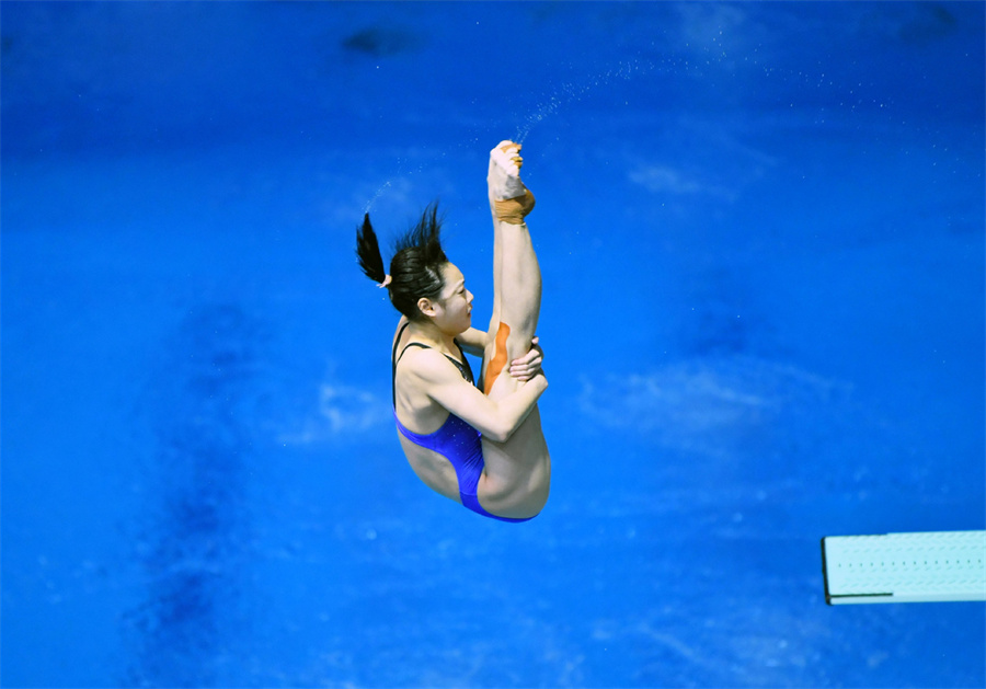 Chinese divers dominate World Cup with 8 golds_The 19th Asian Games ...